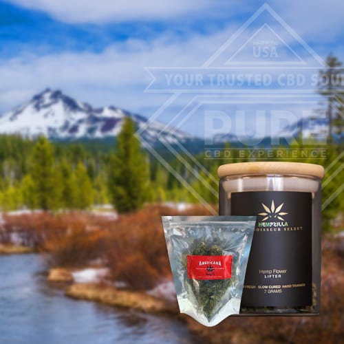 Buy Disposable CBD Vape Pens - Hemp-Derived | Pure CBD Now