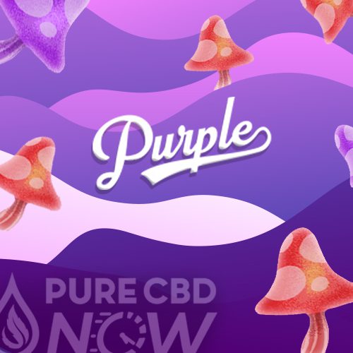 URB Delta 8 THC Carts, Vapes, Gummies & More - Pure CBD Now